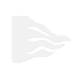 Heat Wagon P4000, P6000 Electric Heater Fan Blade, 400012 | Heat Wagon